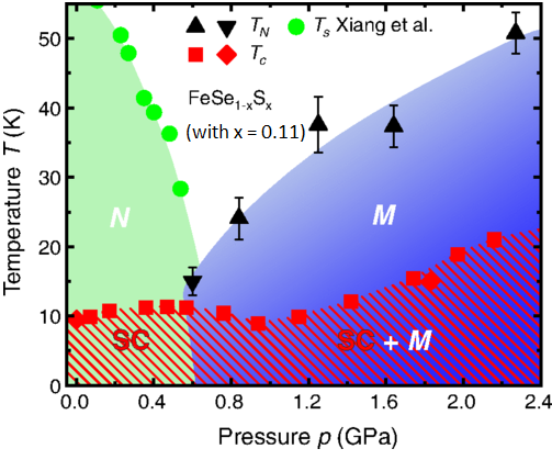 The Many Faces of Magnetism of FeSe | Gediminas Simutis